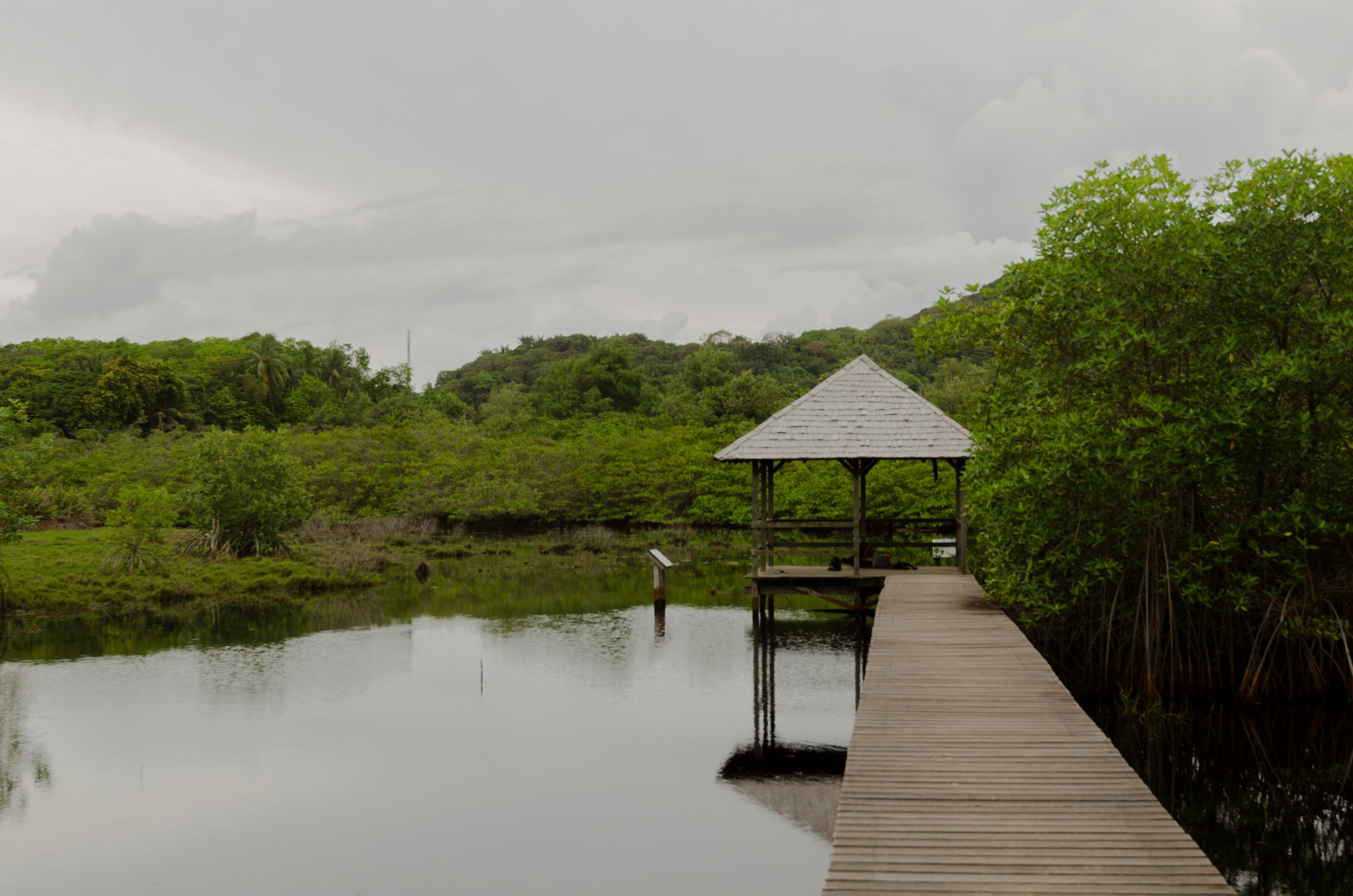 (974)-Les Salines de Montjoly | Bio-Scène.org