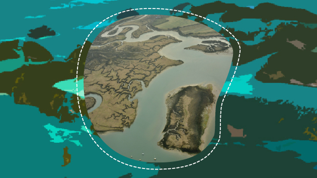 2- Pourquoi le terme Archipel ? | Bio-Scène.org