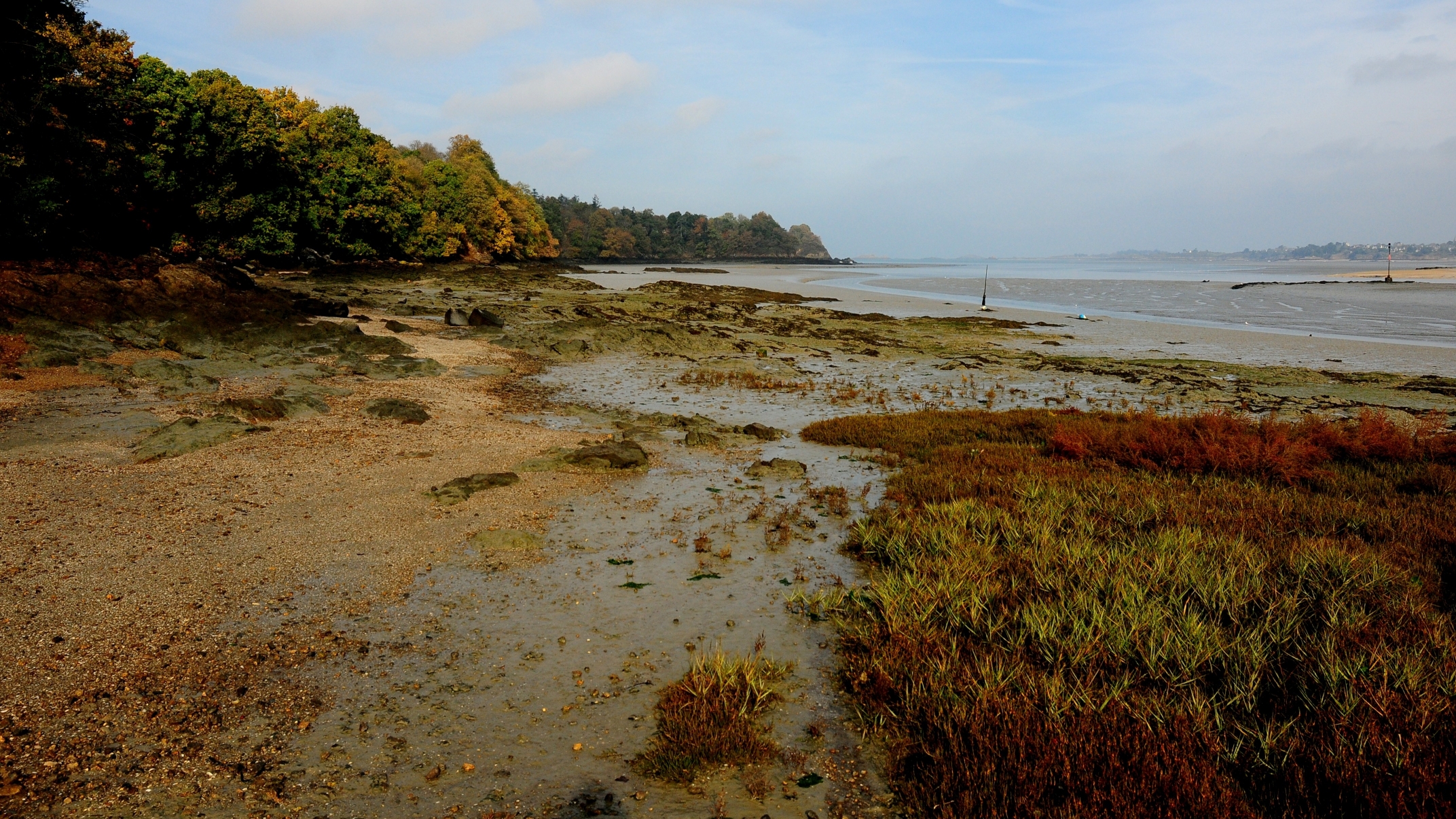 Les Biomes aquatiques | Bio-Scène.org