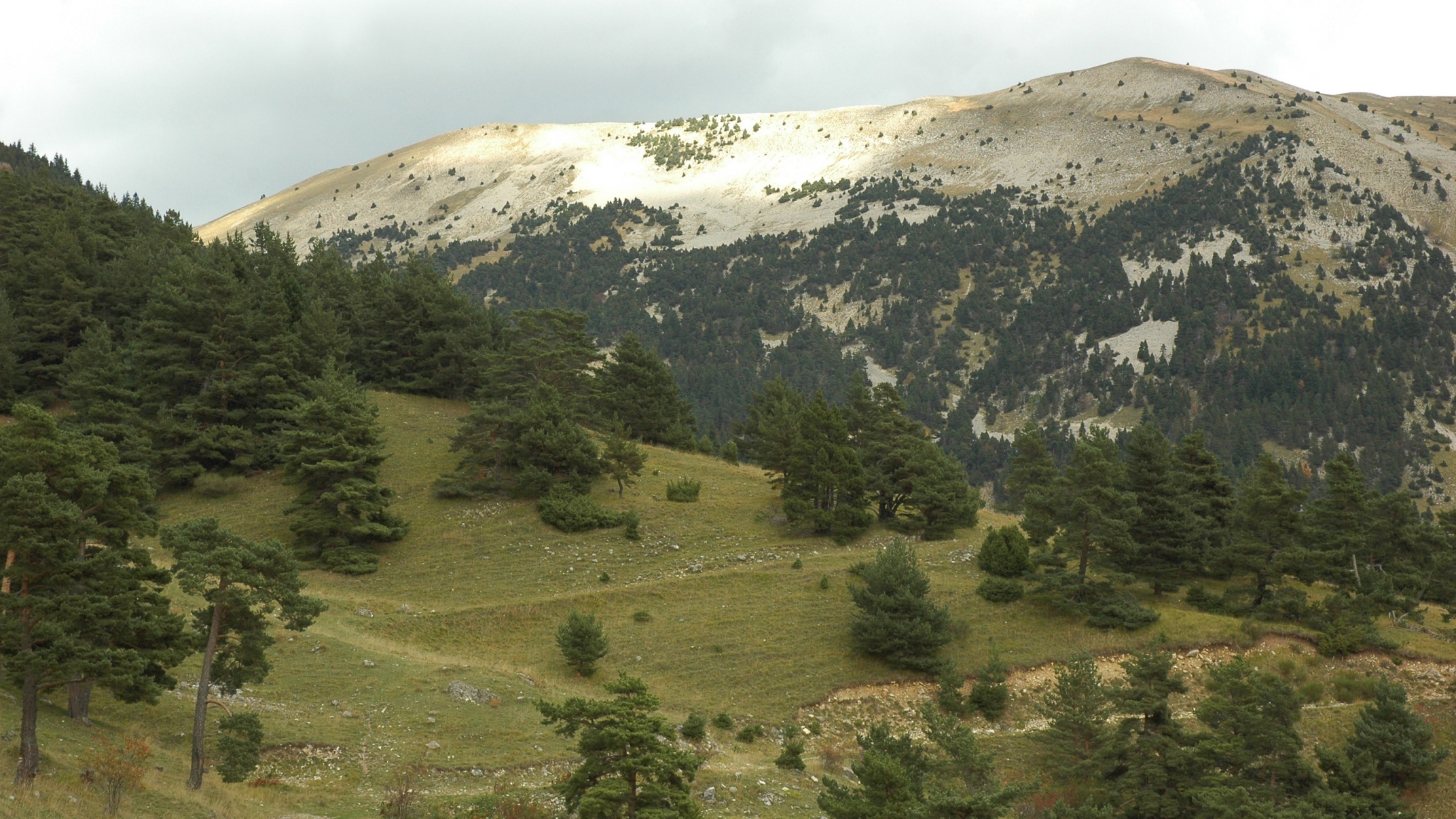 Glandage - Gite de la Tour | Bio-Scène.org